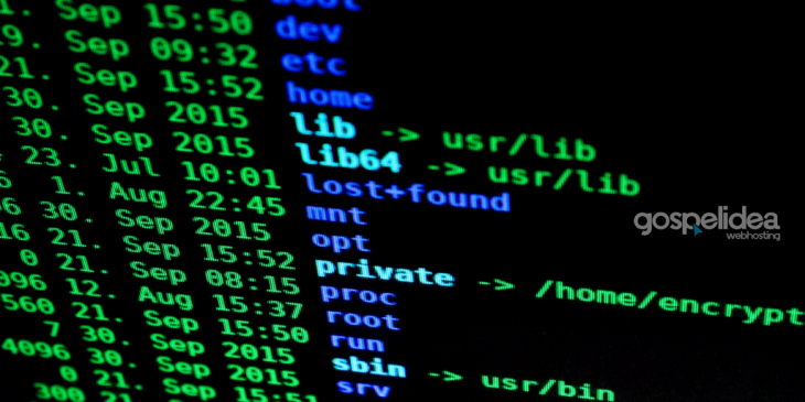 ¿Qué son los permisos CHMOD en Linux? | Gospel iDEA